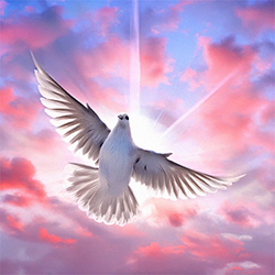 Pflanz Mendrala Funeral Homes